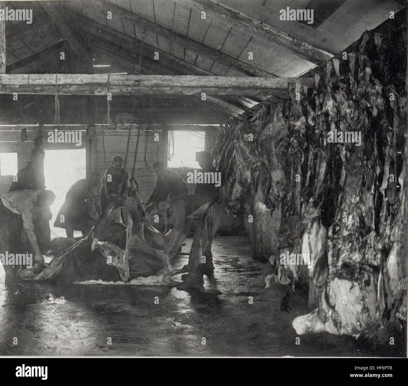 A meat depot serving soldiers on the Isonzo Front during World War I ...