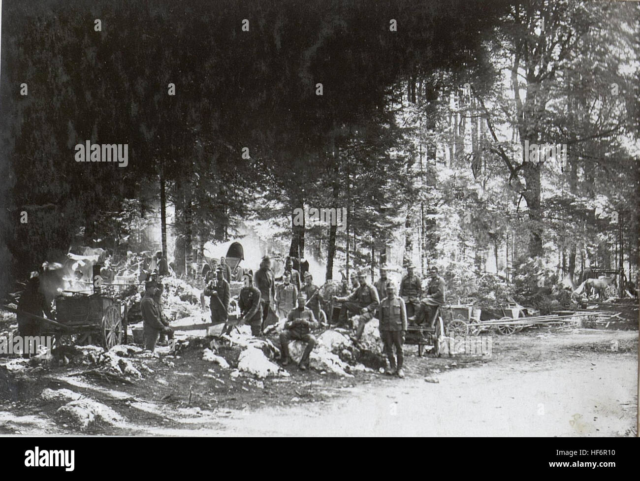 Artillery position in Ternovan Forest, 1st September 1917, WWI, First ...