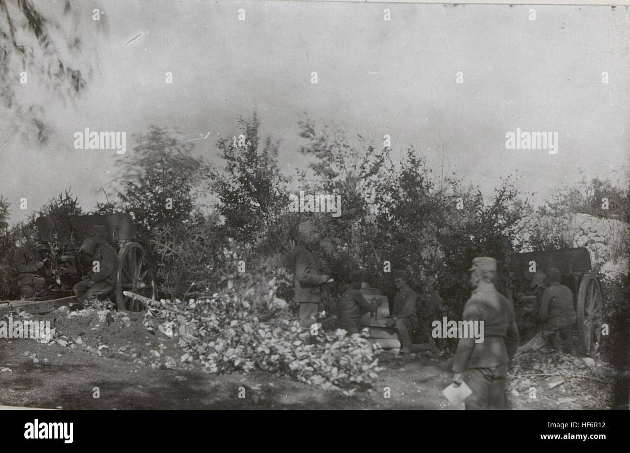 A photograph of a field howitzer position in the Ternovaner Forest, taken on 1 September 1917 ...