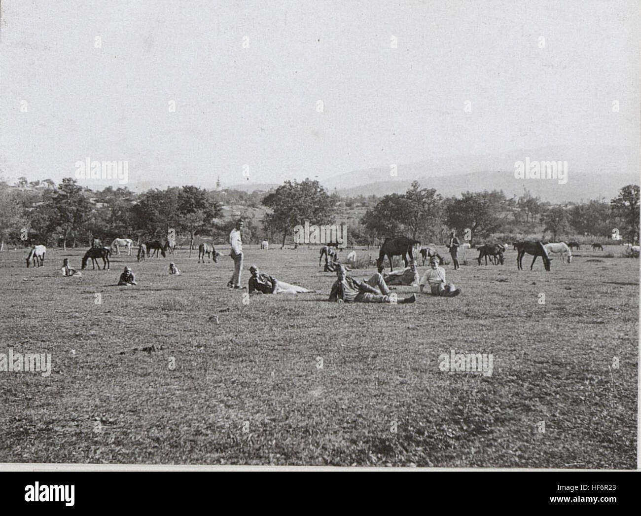 Grazing field in Wippachtal, photographed during World War I, showing ...