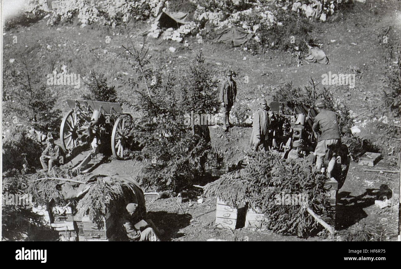 Artillery position at Lom Plateau, 15602585, World War I, Europeana ...