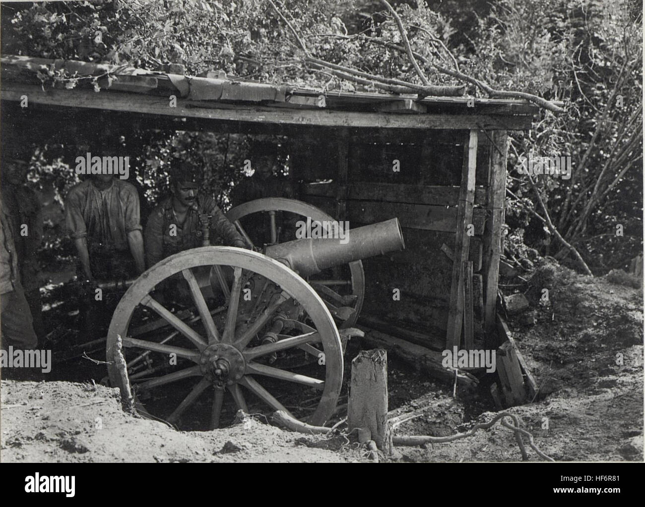 A photograph of a field howitzer at Bukovica during the First World War ...