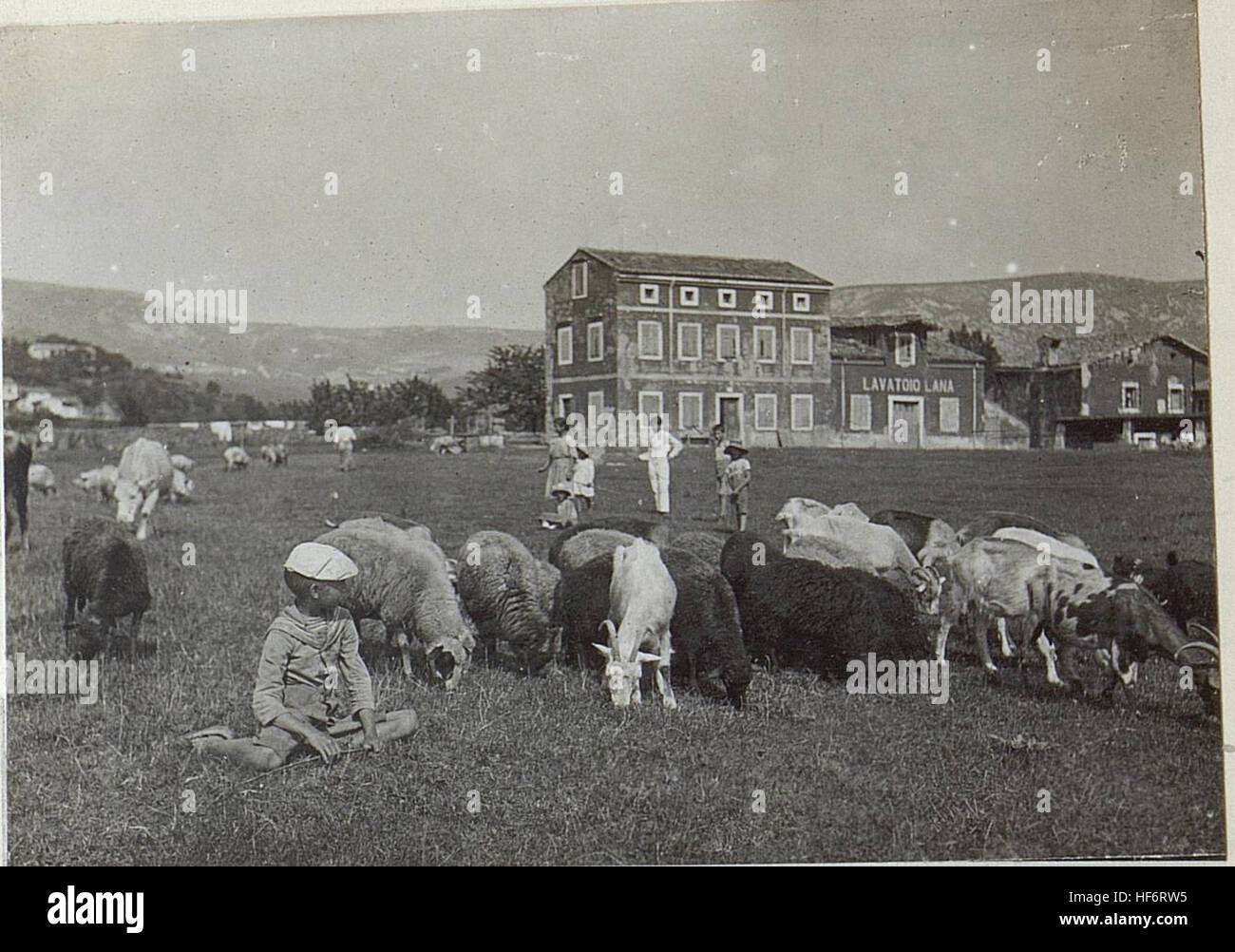 Cattle breeding in Zaule, 24-Aug-1917, First World War, Europeana ...