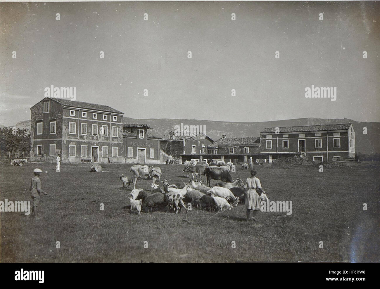 Rural warfare in ww1 hi-res stock photography and images - Alamy