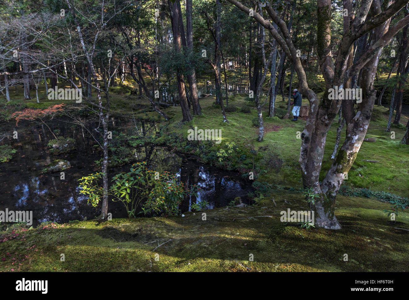 Moss, reflections and fall colors at Saiho-ji (Takedera, moss temple ...