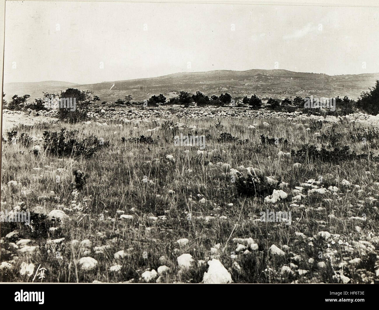 A panoramic view from Pecinka Kote 291 on September 29, 1915, taken ...