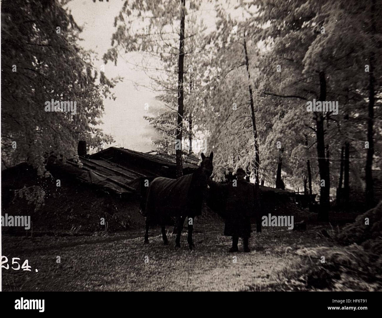 A World War I encampment, showing a military artillery position near a ...