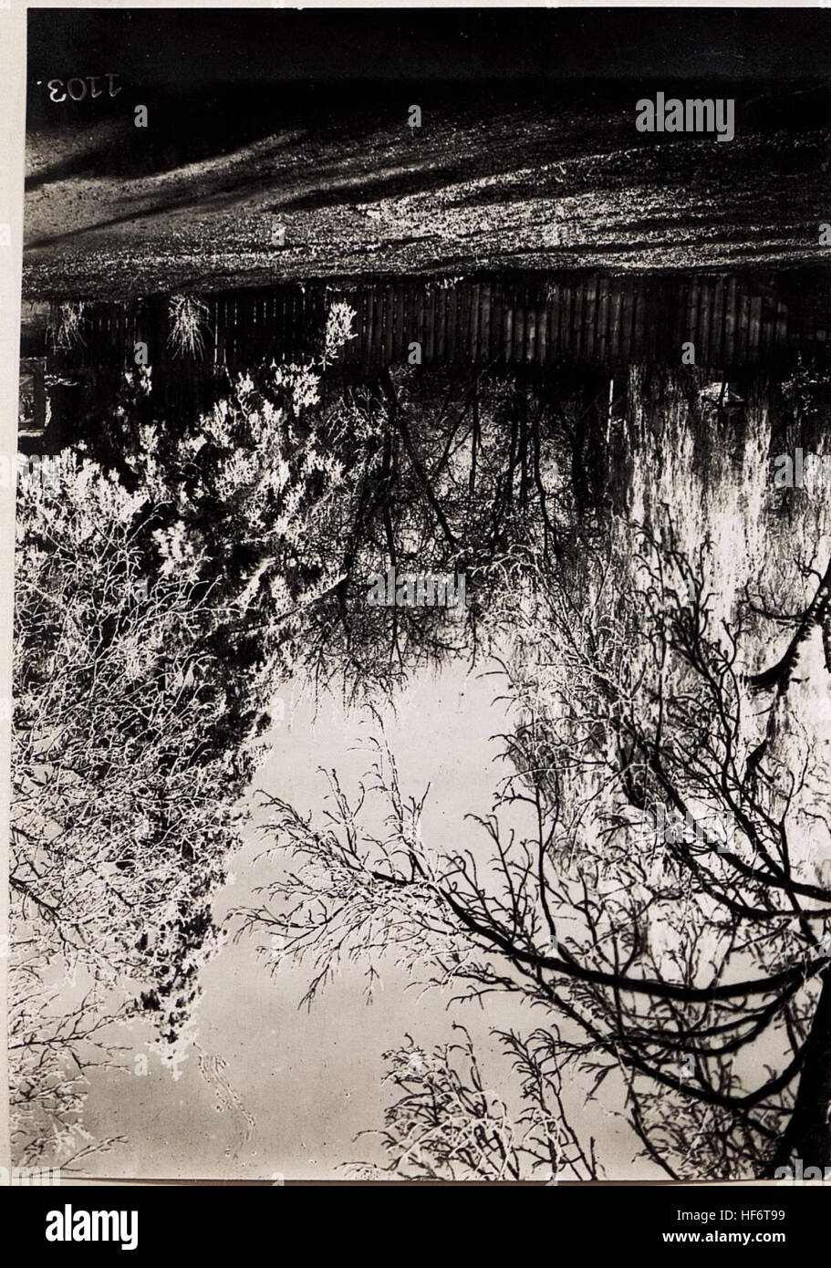 Wladimir Wolinsky Frost, First World War, Europeana Collections 1914 ...