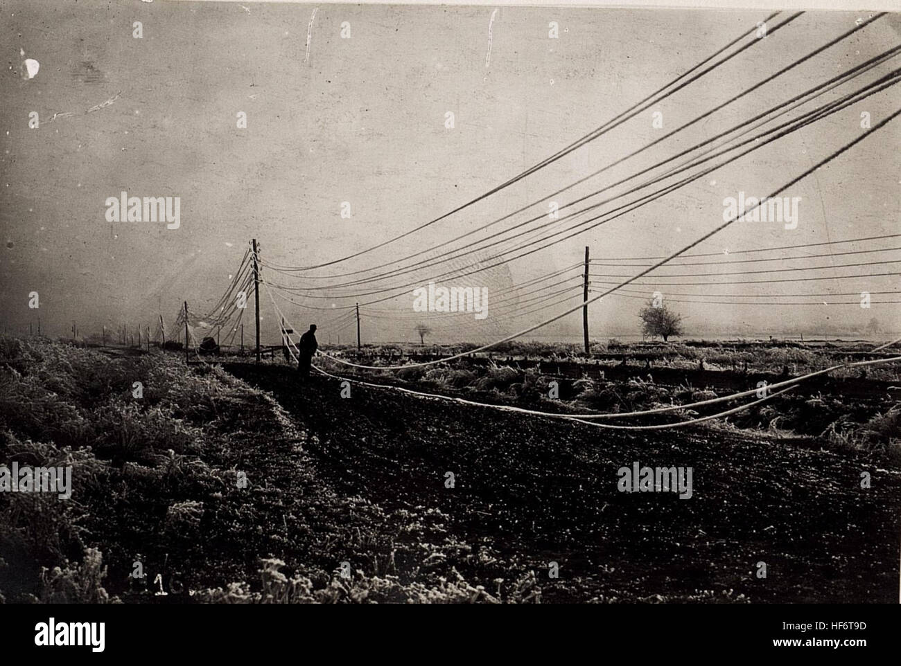 Frost on the telegraph wires along the railway line during World War I ...