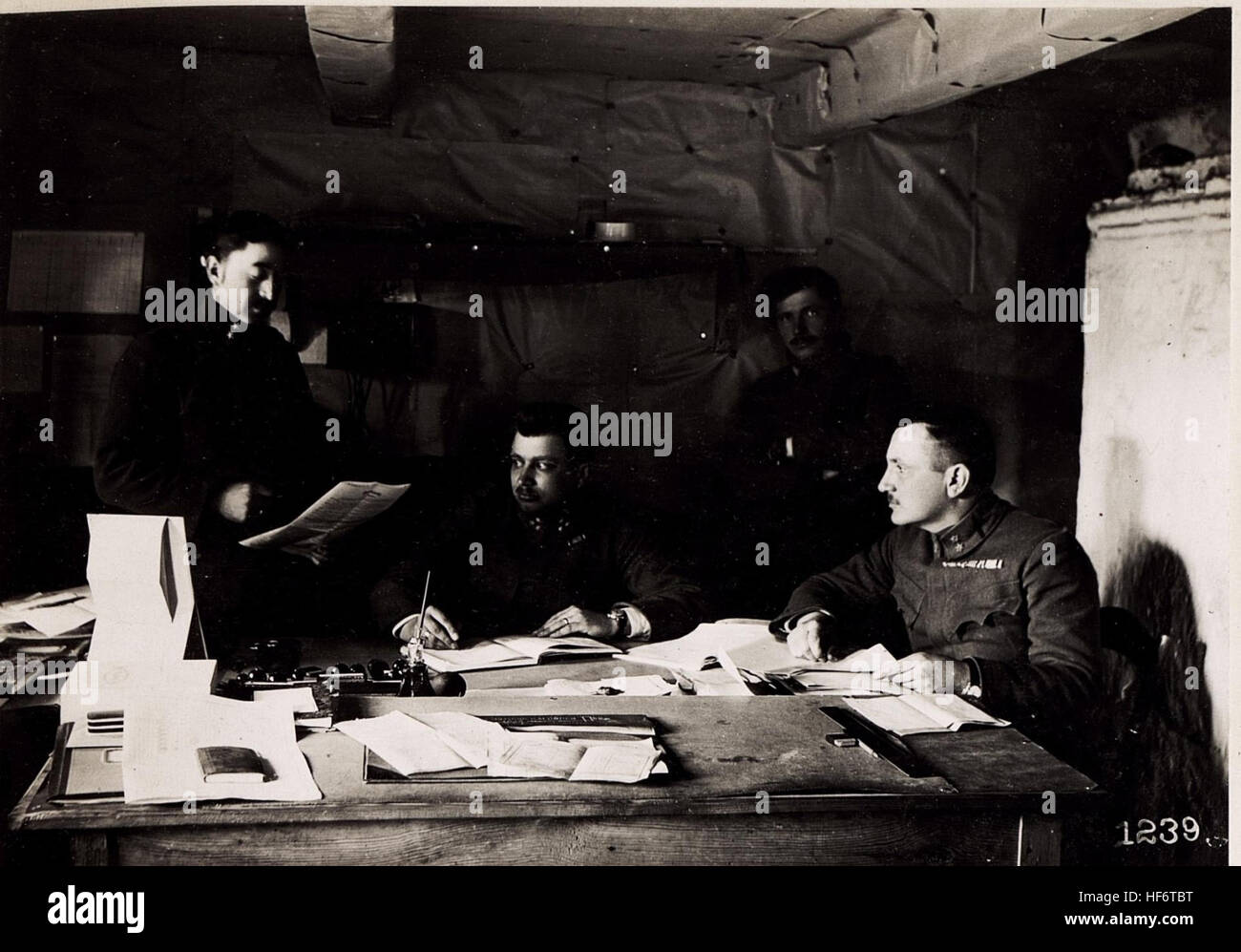 Horse hospital in Poniczew, 17th February 1918, WWI, First World War ...