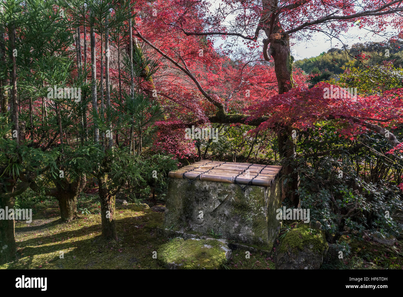 Ritual washing station Saiho-ji Rinzai Zen Buddhist temple (Takedera ...