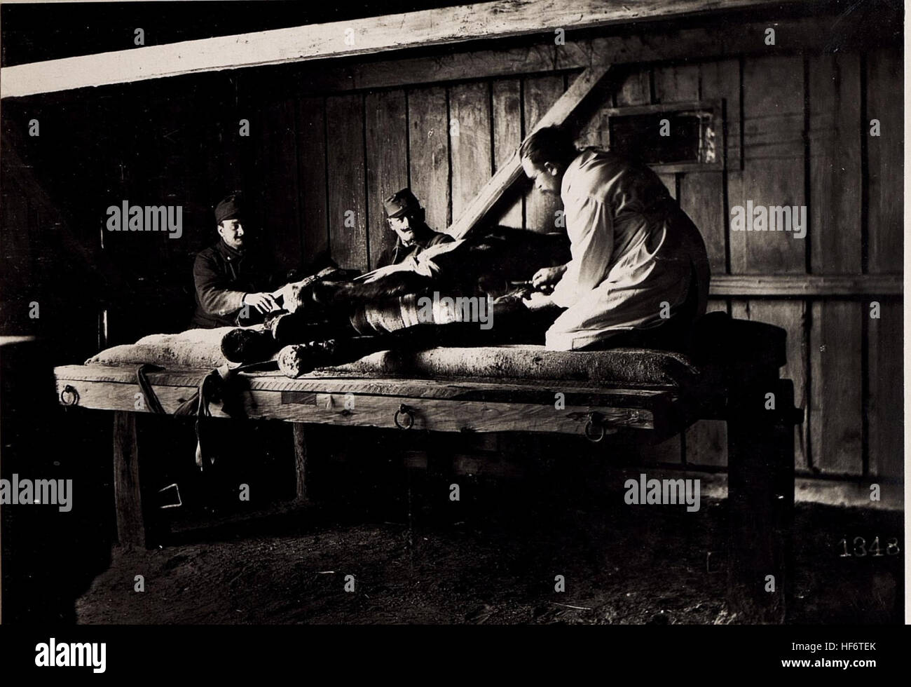 Horse hospital in Poniczew, February 28, 1918, treating wounded animals during World War I ...