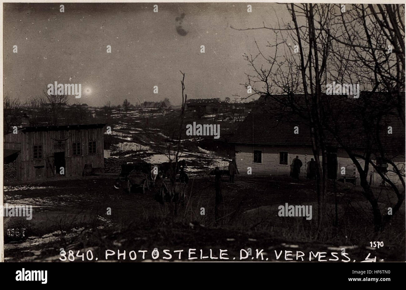 Battle cattle depot, Wladimir-Wolynskij, 27th March 1918, World War I ...
