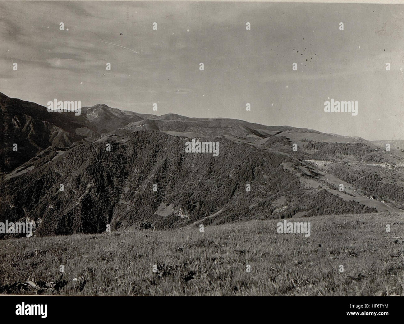 Panoramic view from Monte Roncone during World War I, Europeana ...