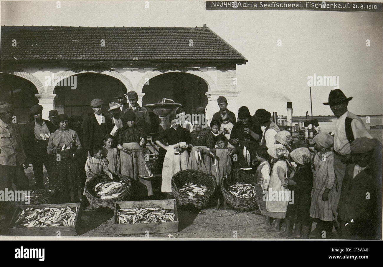 Adriatic Sea fishing, fish market, World War I, Europeana Collections ...