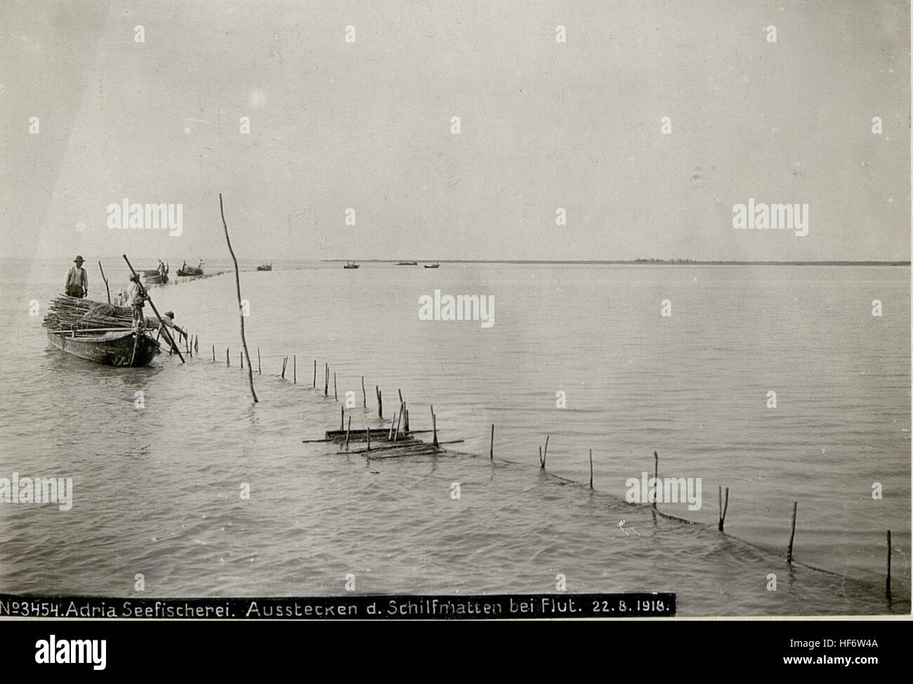 A photograph of Adriatic sea fishing activities during World War I, showing the deployment of ...