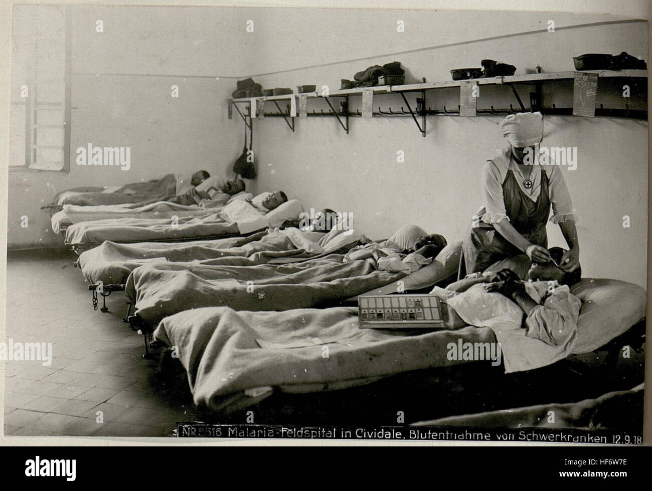 Malaria field hospital in Cividale, blood collection from critically ...