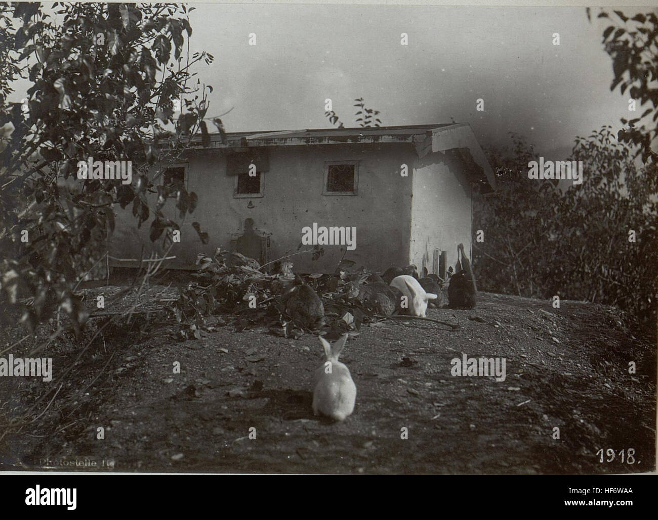 A historical image from World War I showing an auto reserve and a ...
