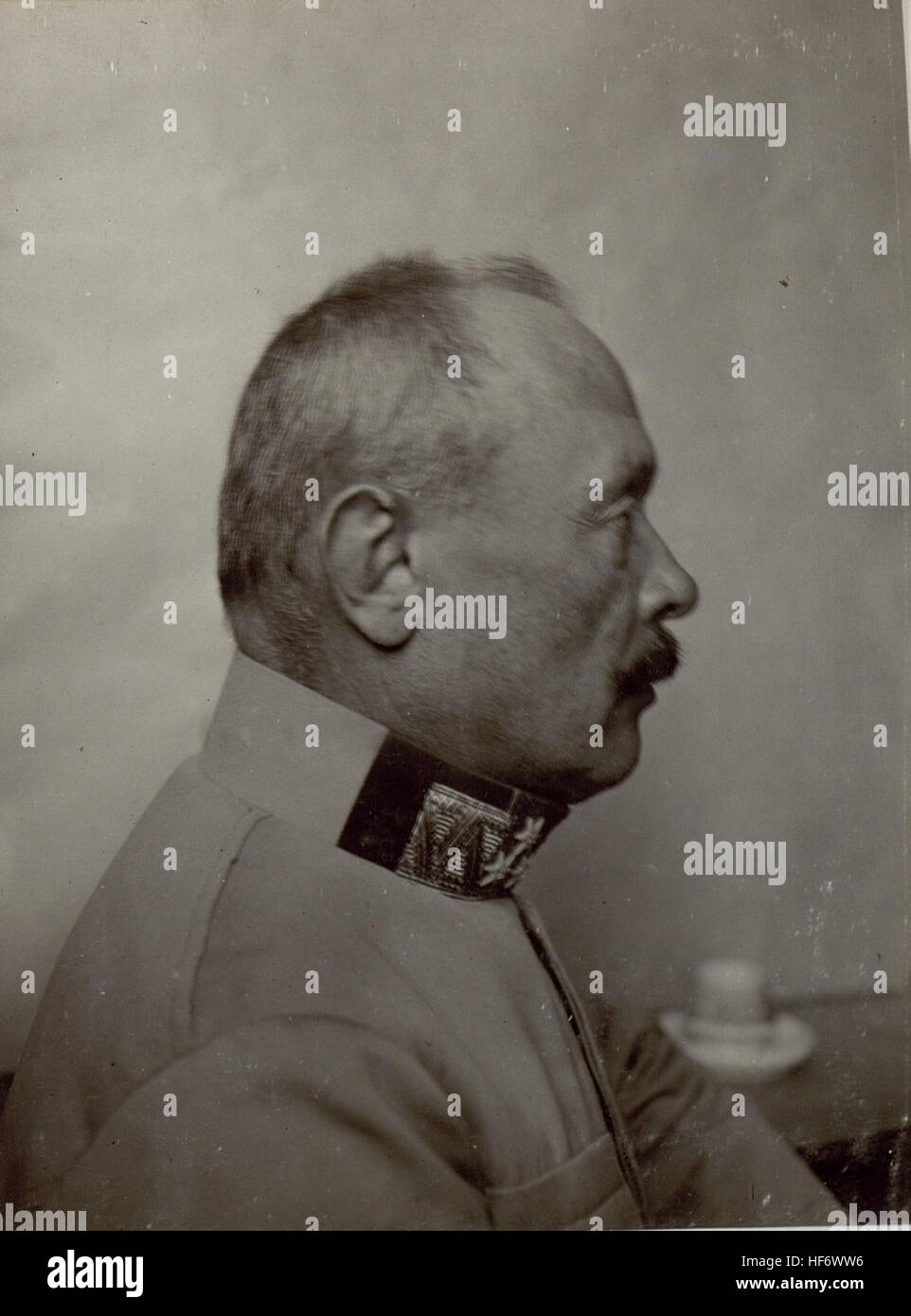 Photograph of Field Marshal Svetozar Boroevic von Bojna, General of ...