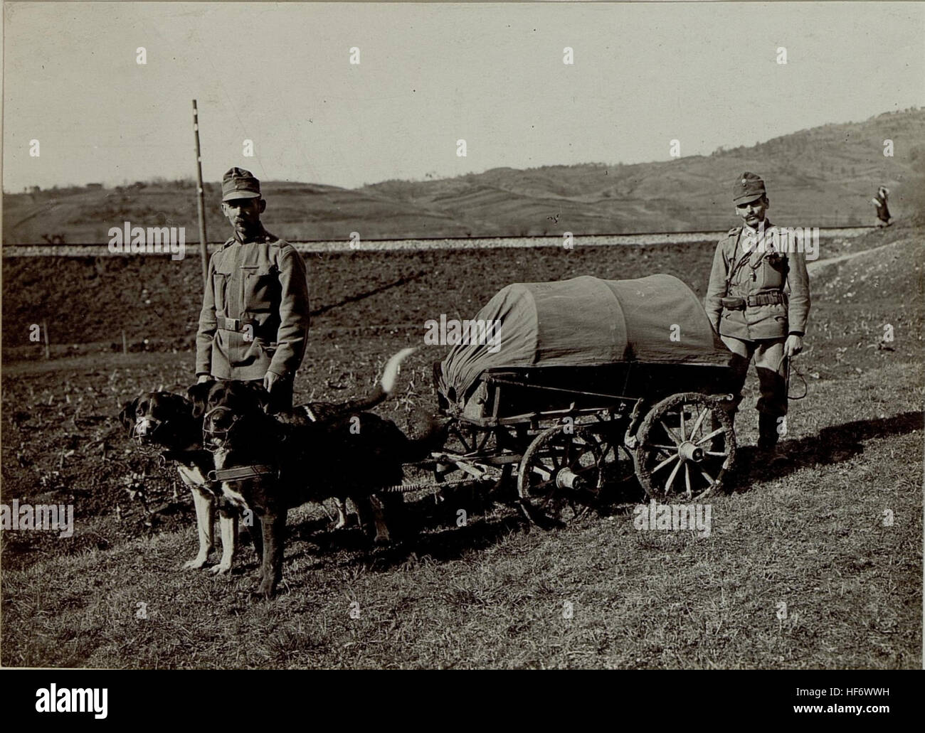 Military dog cart hi-res stock photography and images - Alamy