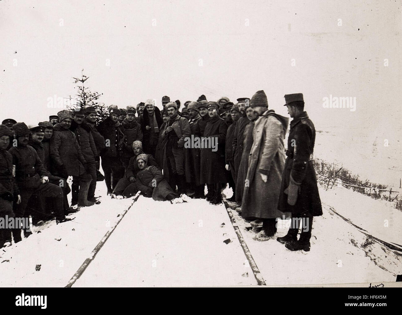A scene depicting the delivery of a Christmas tree during World War I ...