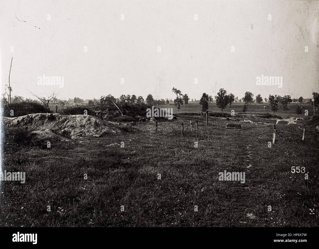 Field howitzer battery of Regiment 2 southwest of Cholopieczy, World ...
