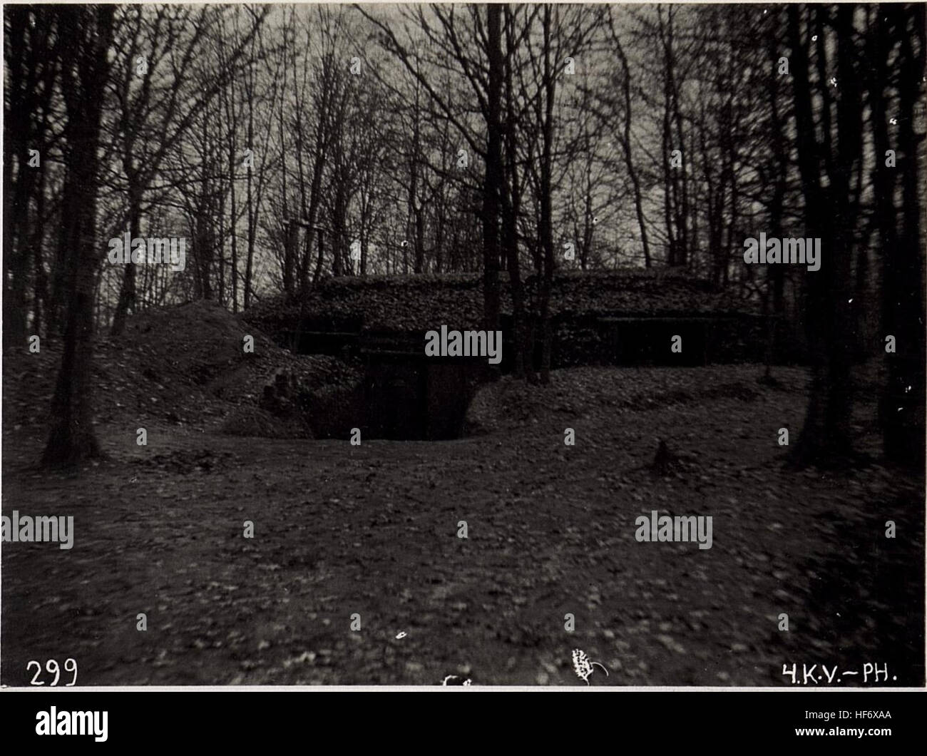 A photograph showing an electricity plant in the forest at Stara ...