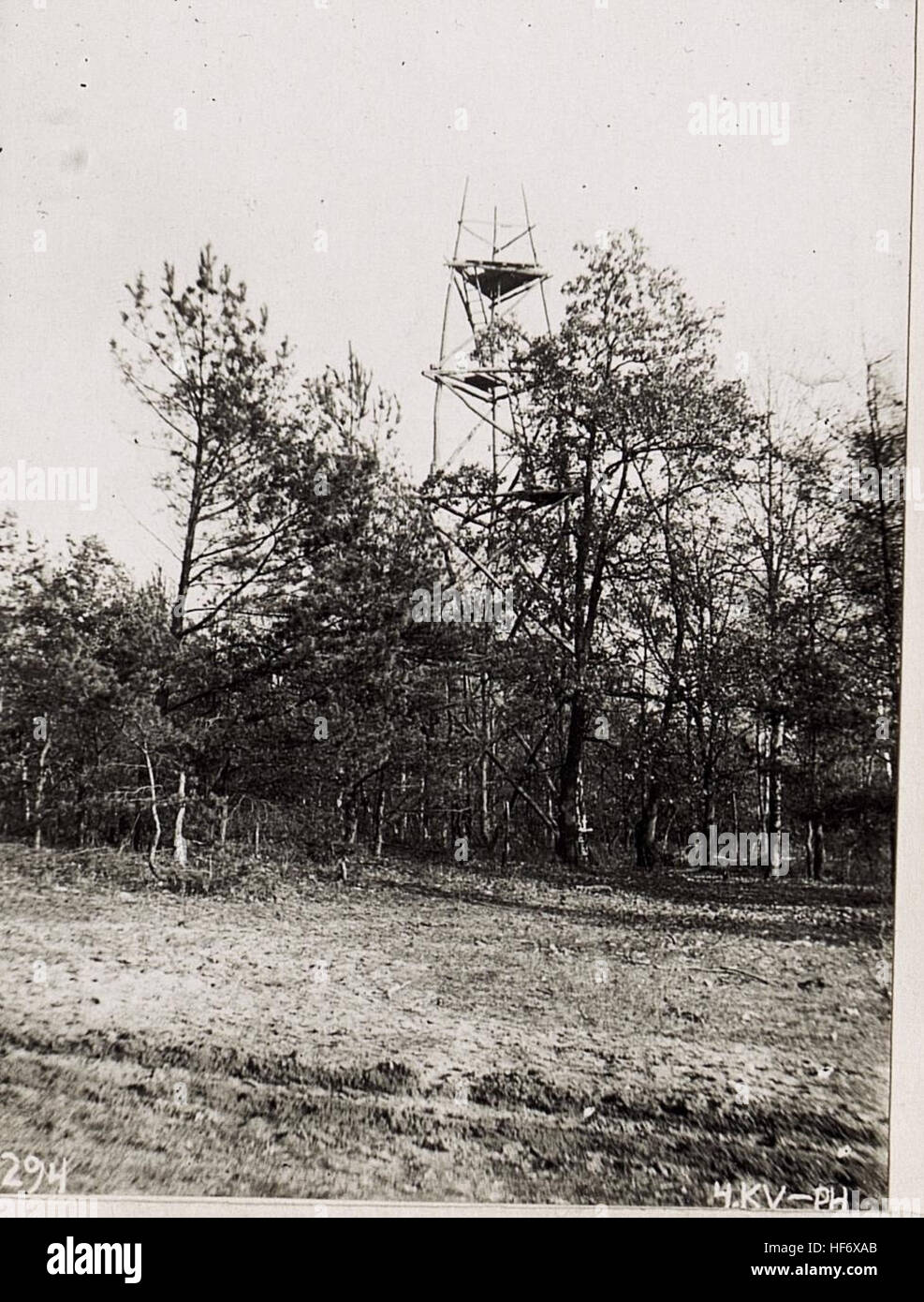 High stand in forest hi-res stock photography and images - Alamy