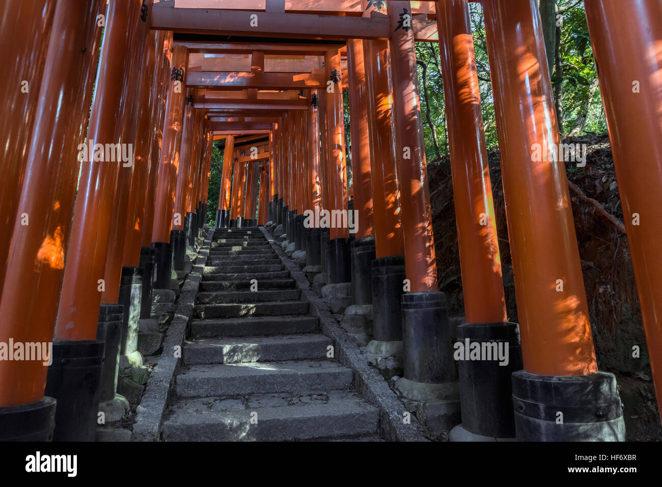 Stone Torii Gates High Resolution Stock Photography and Images - Alamy