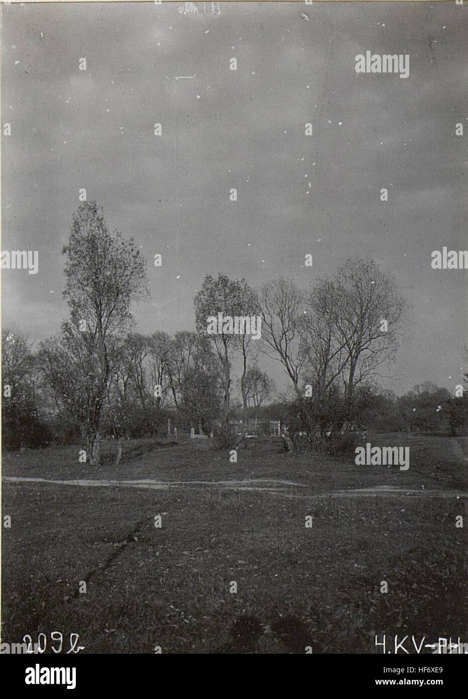 Trees near the Jewish cemetery in Vladimir Volhynia, World War I ...