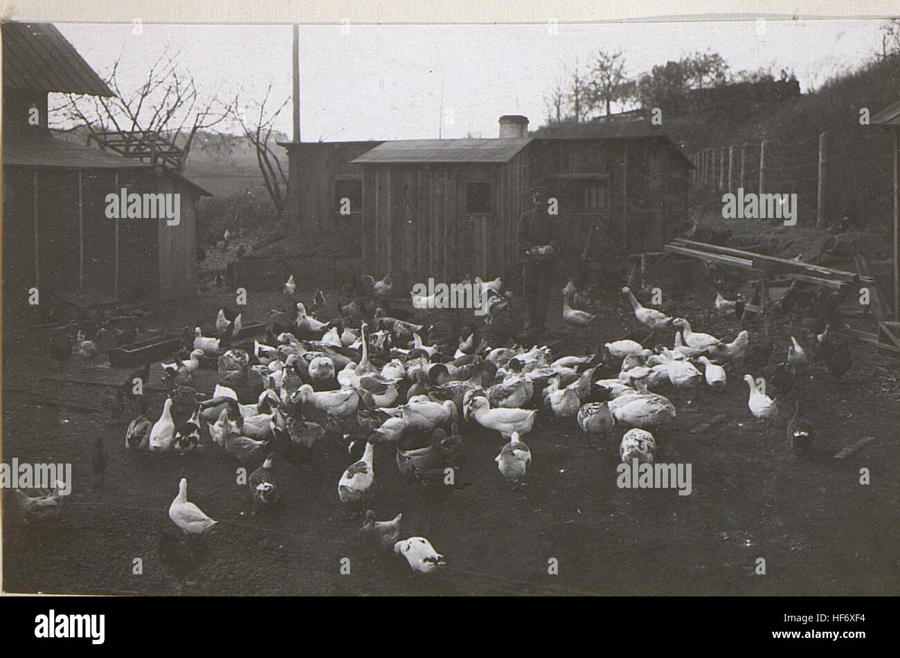 War time farming hi-res stock photography and images - Alamy