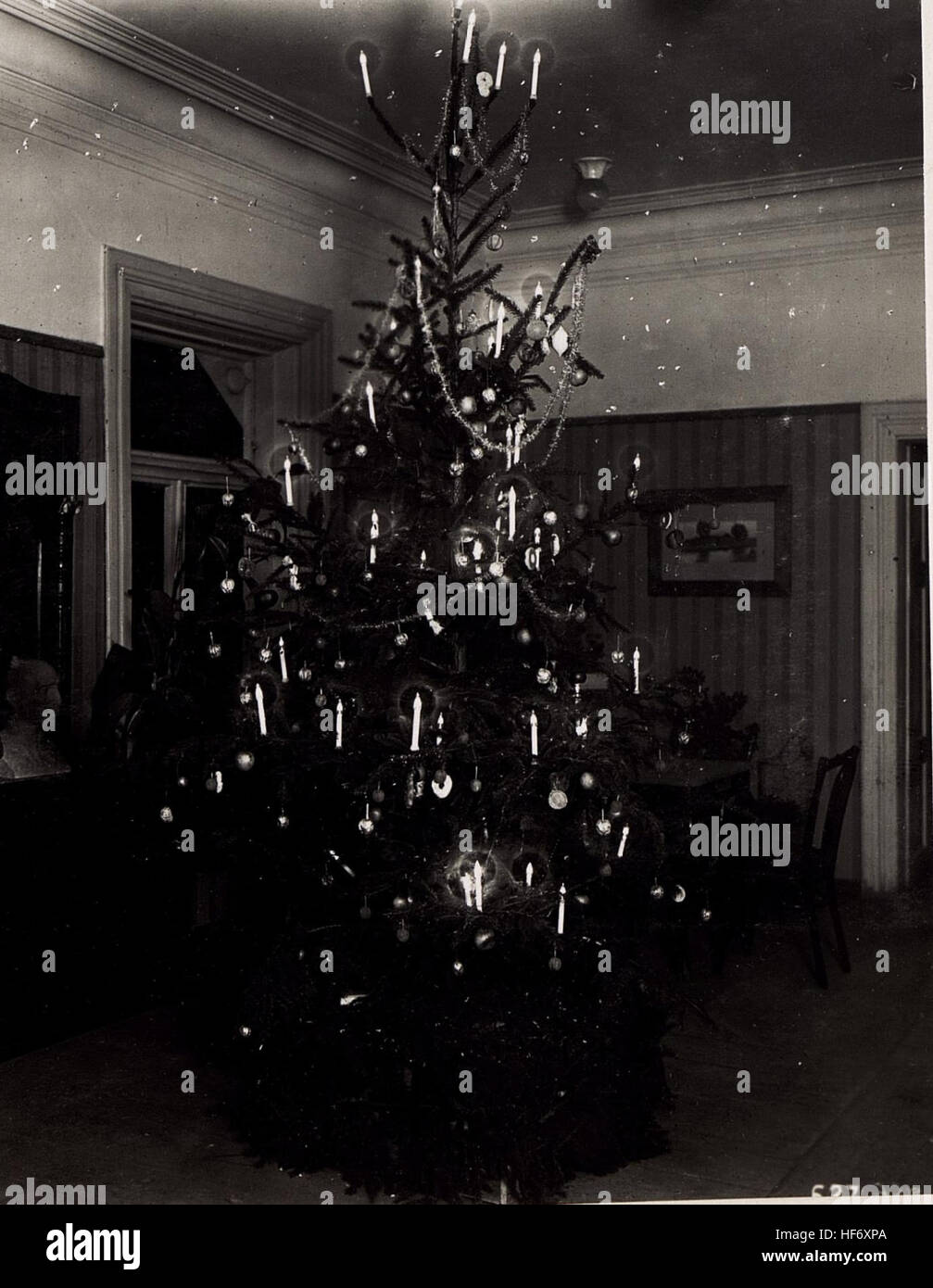 Christmas tree of the 4th Army Command in Władyśimierz Wolinski, World ...