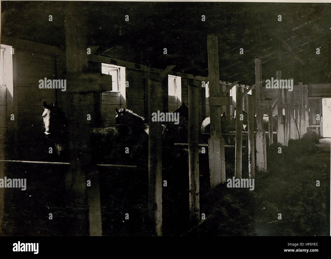 A World War I photograph showing a stable barracks in Ossiach, used as ...
