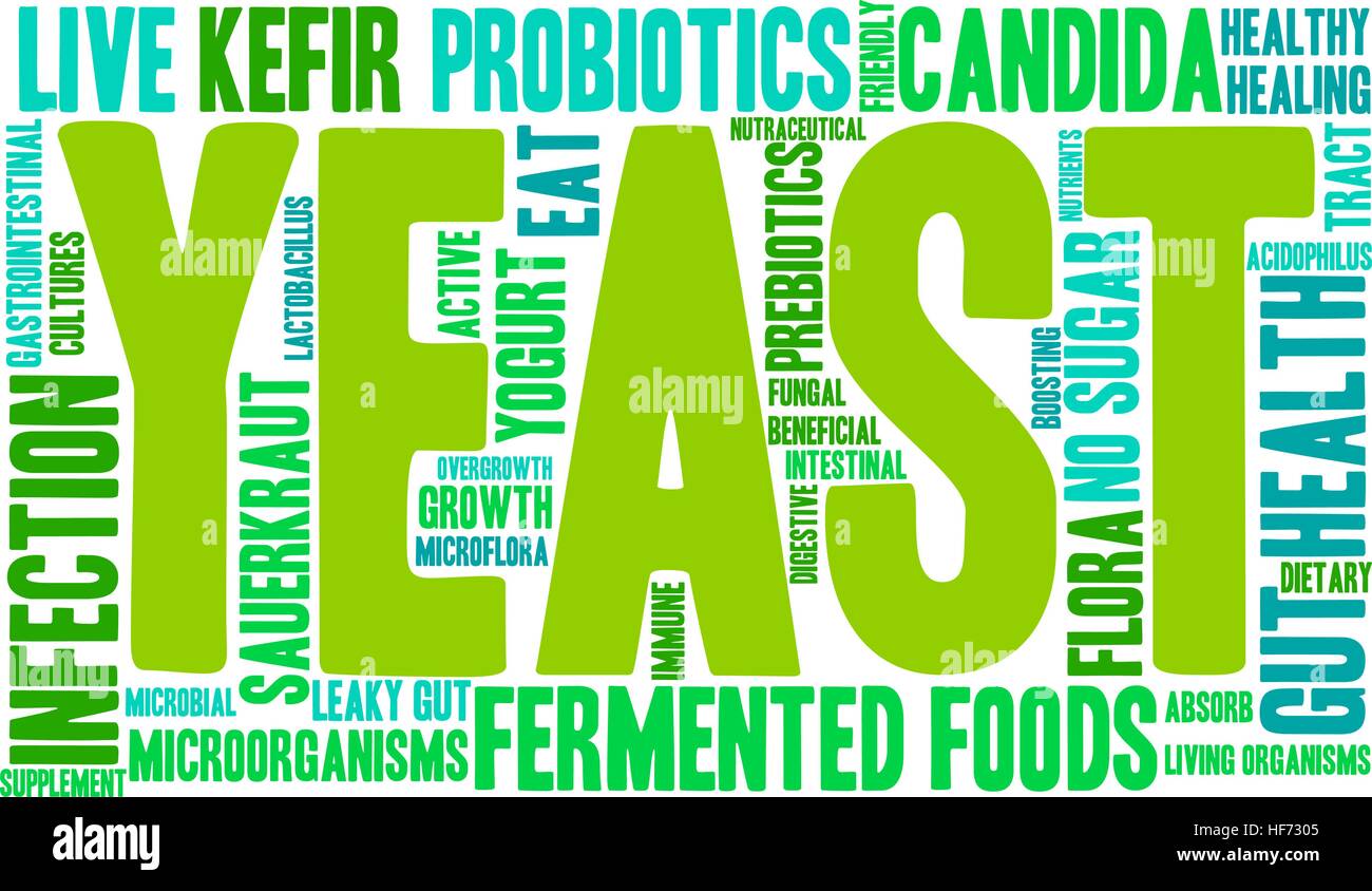 Yeast Infection word cloud on a white background Stock Vector Image ...