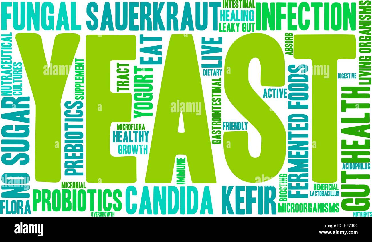Yeast Infection word cloud on a white background Stock Vector Image ...