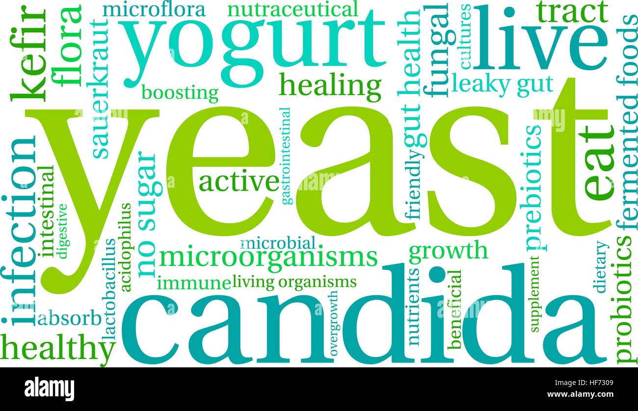 Yeast Infection word cloud on a white background Stock Vector Image ...