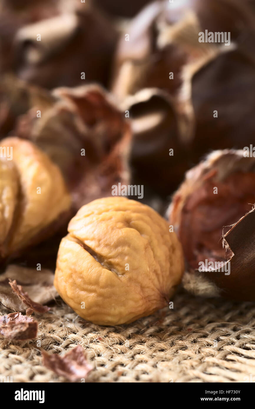 Freshly roasted or baked peeled chestnuts, photographed with natural ...