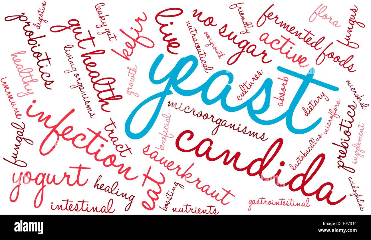 Yeast Infection word cloud on a white background Stock Vector Image ...