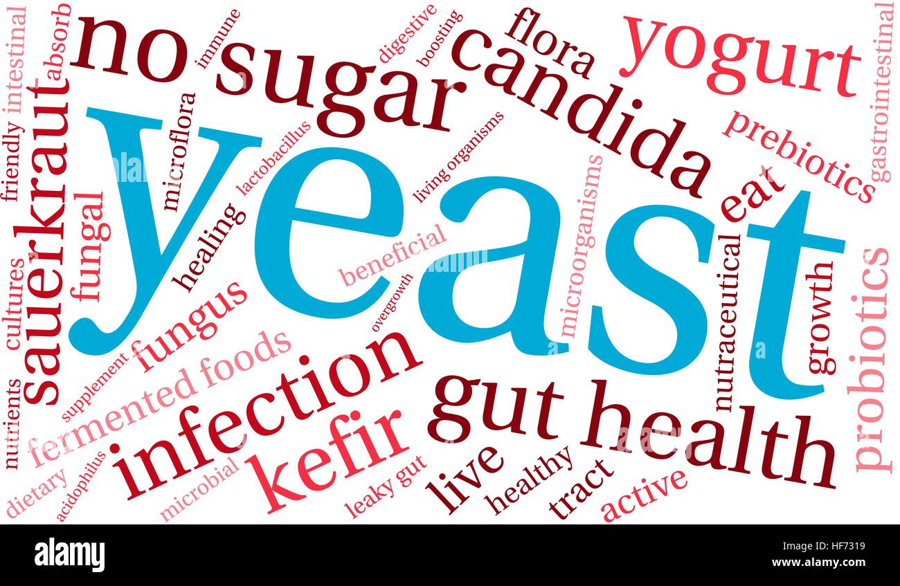 Yeast Infection word cloud on a white background Stock Vector Image ...