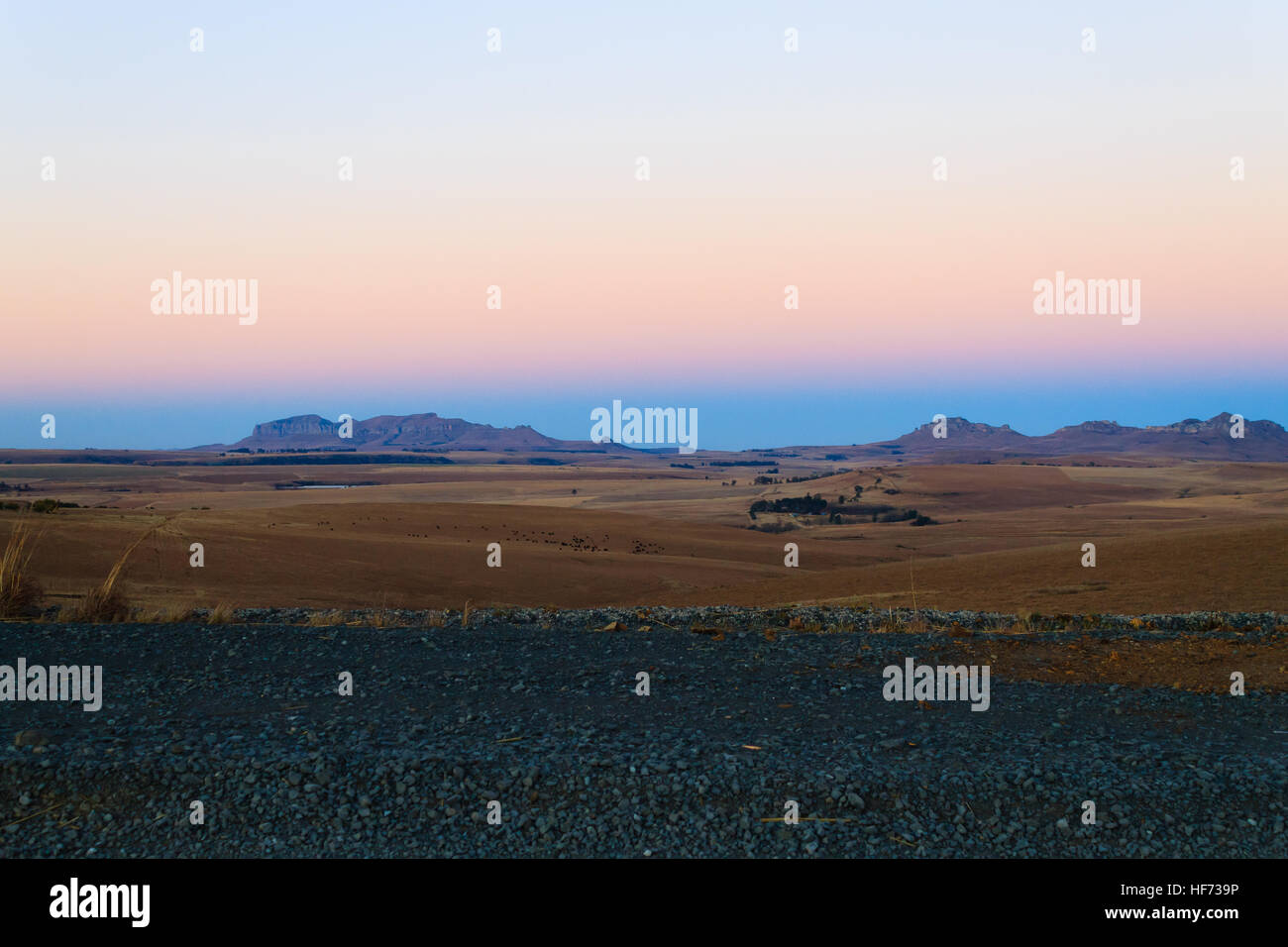 Sterkfontein Dam Nature Reserve dawn landscape, South Africa. African ...