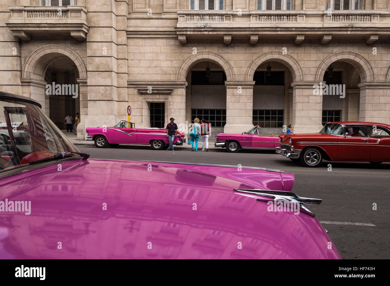 Pink american cars waiting for clients to take on classic car tours, La ...