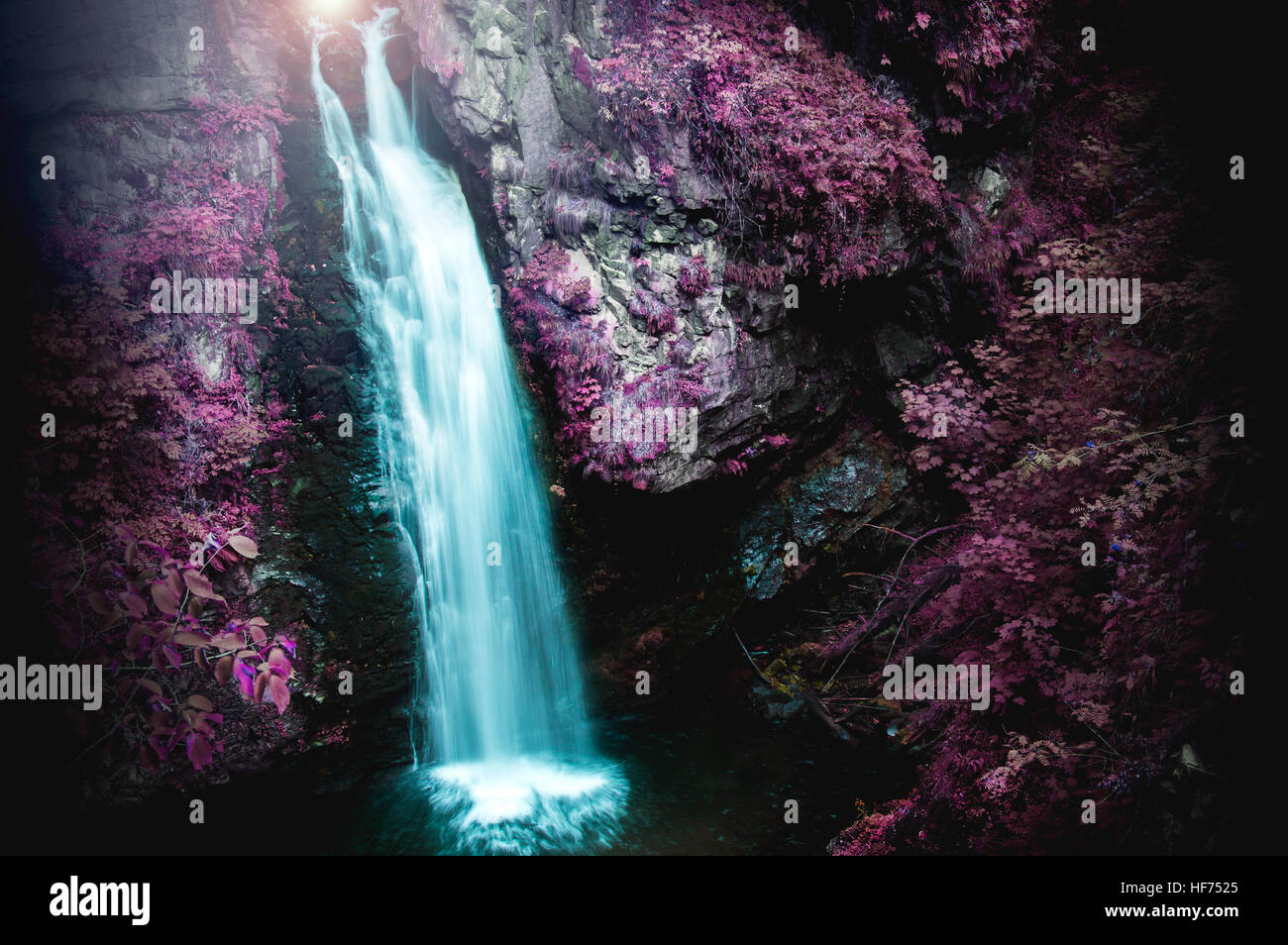 Charming waterfall in the enchanted forest Stock Photo - Alamy