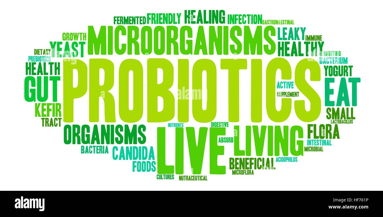 Probiotics word cloud on a white background Stock Vector Image & Art ...