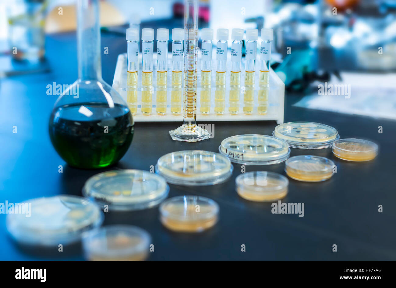 Cancer research lab hi-res stock photography and images - Alamy