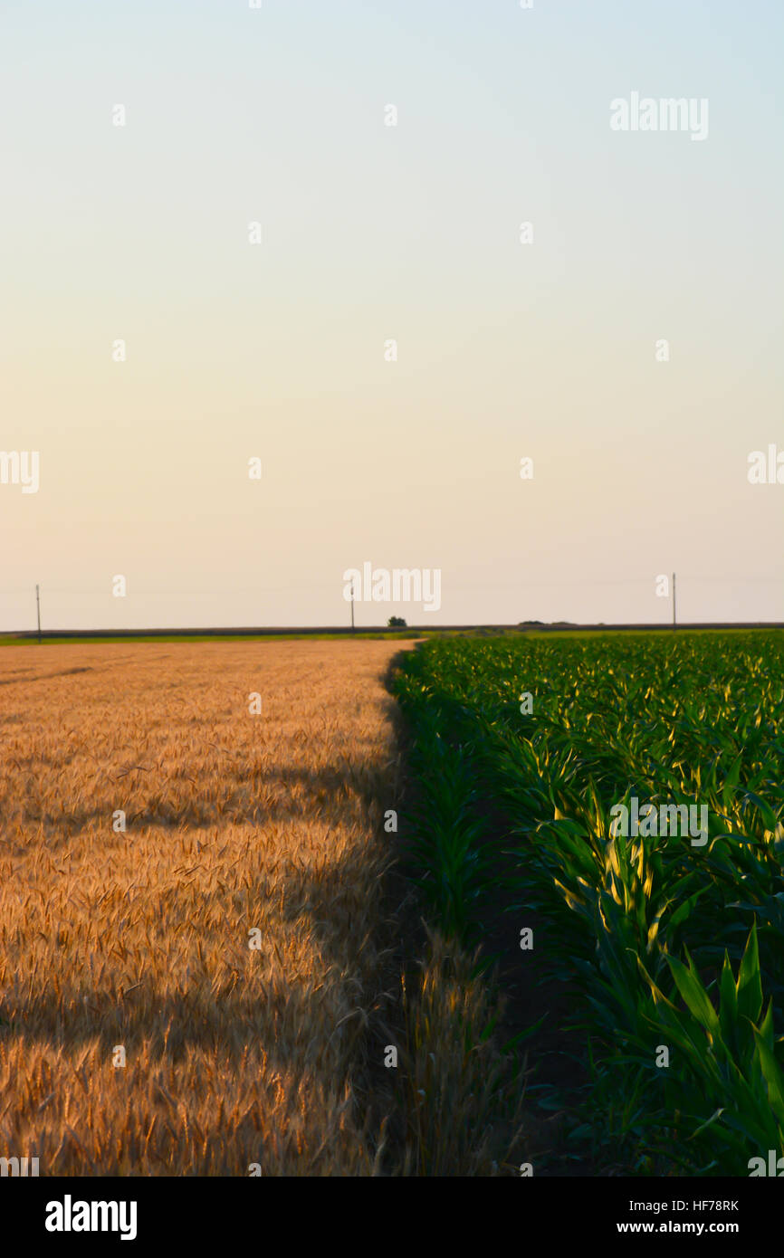 Colorful agricultural field hi-res stock photography and images - Alamy