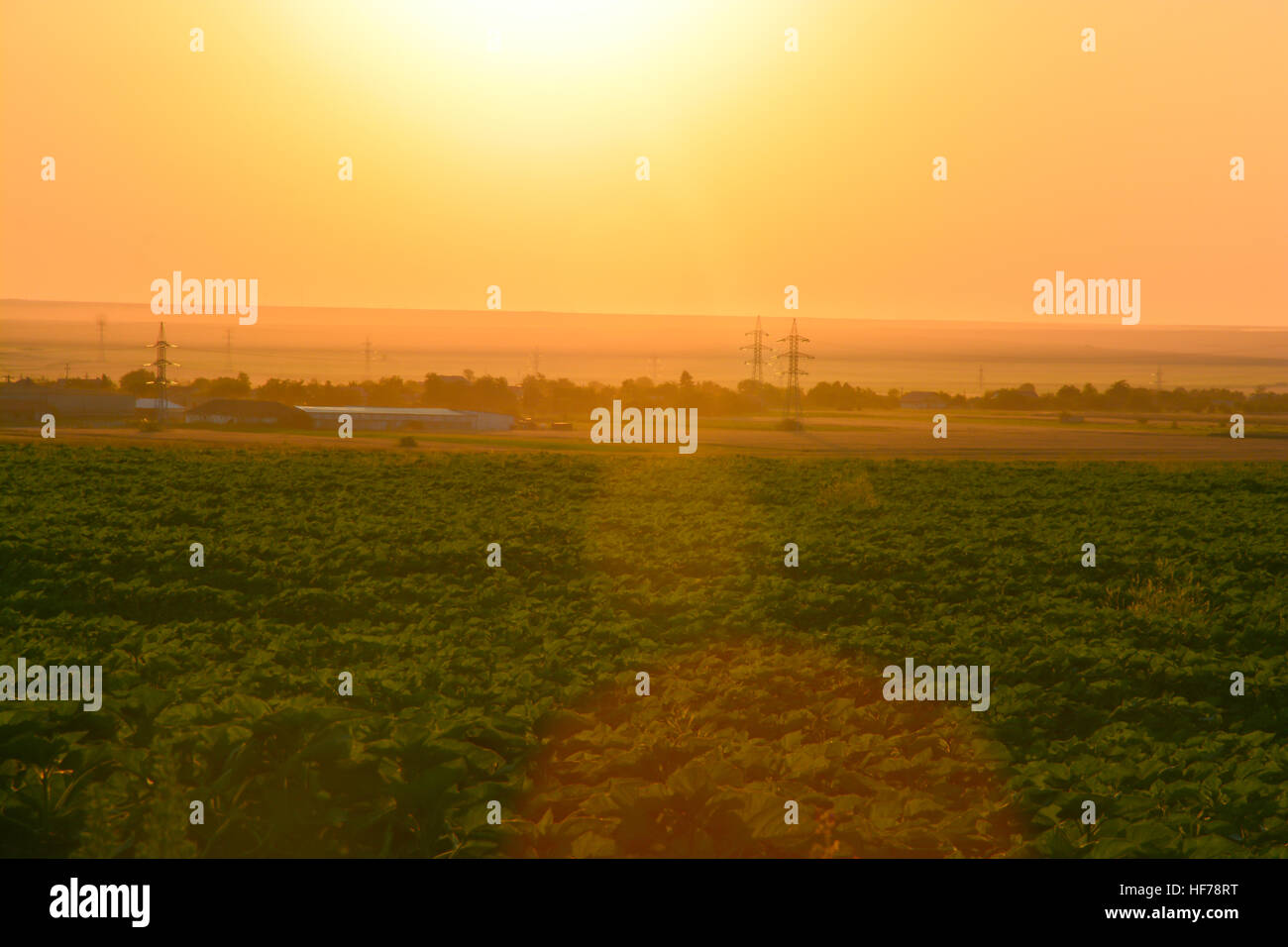 Agriculture sunset landscape Stock Photo - Alamy