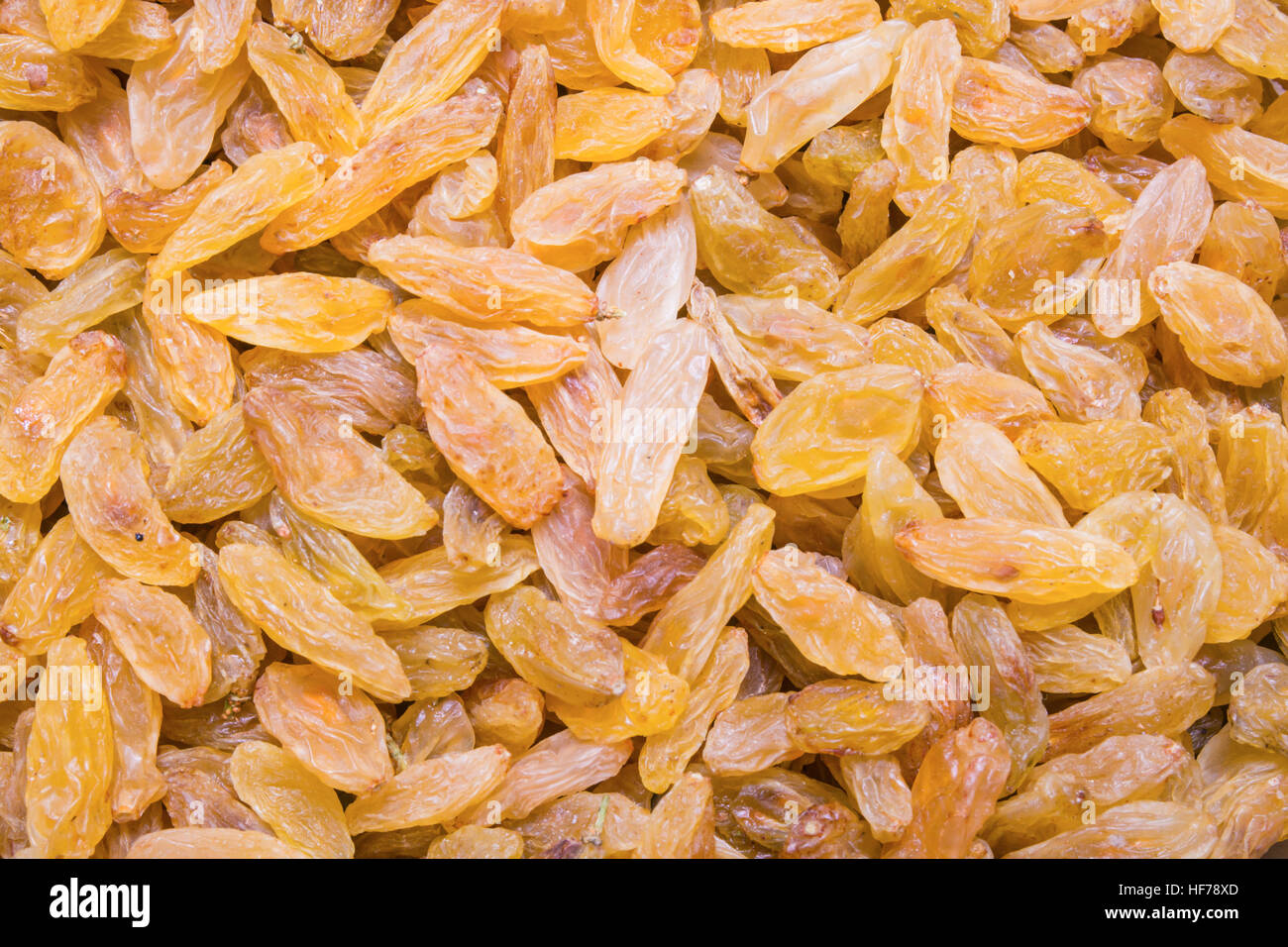 Large Golden Raisins background, texture Stock Photo - Alamy