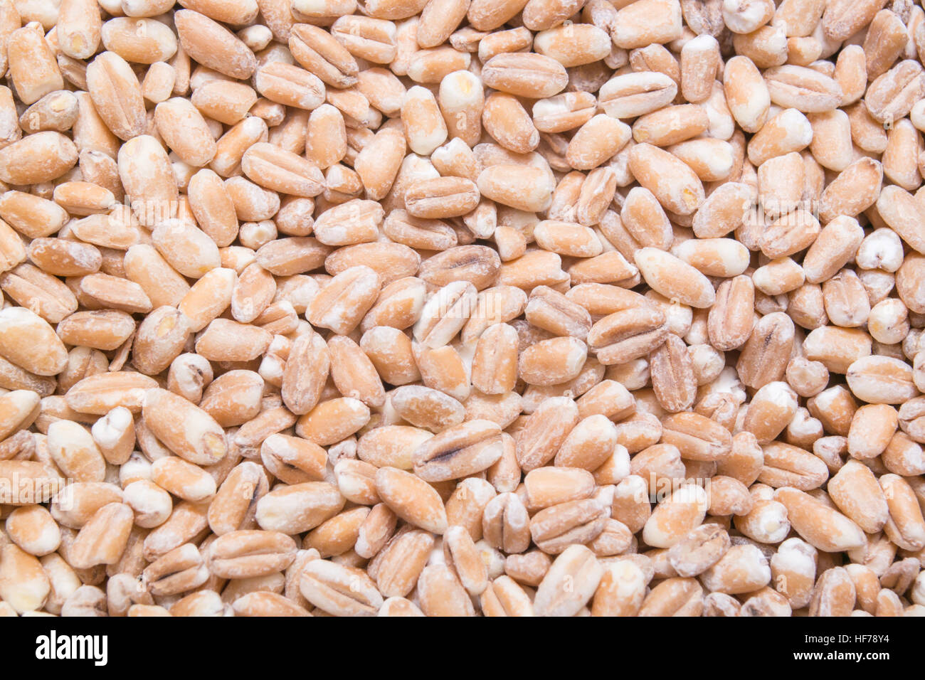 Wheat cereal, grains background or texture Stock Photo - Alamy