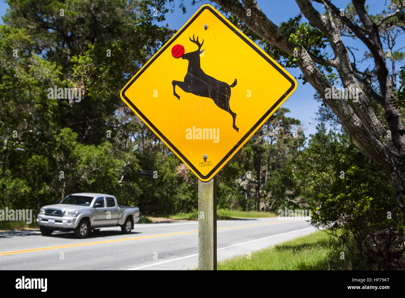 Deer road sign with addition of red nose(Rudolph at Christmas) National ...