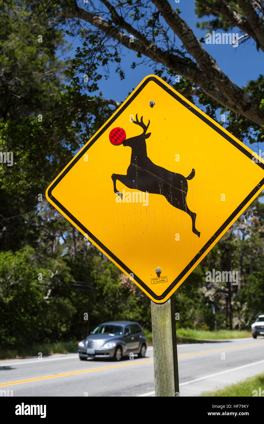 Deer road sign with addition of red nose(Rudolph at Christmas) National ...